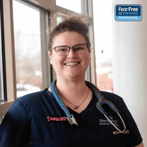 Veterinarian In High Point, NC | Northwood Animal Hospital